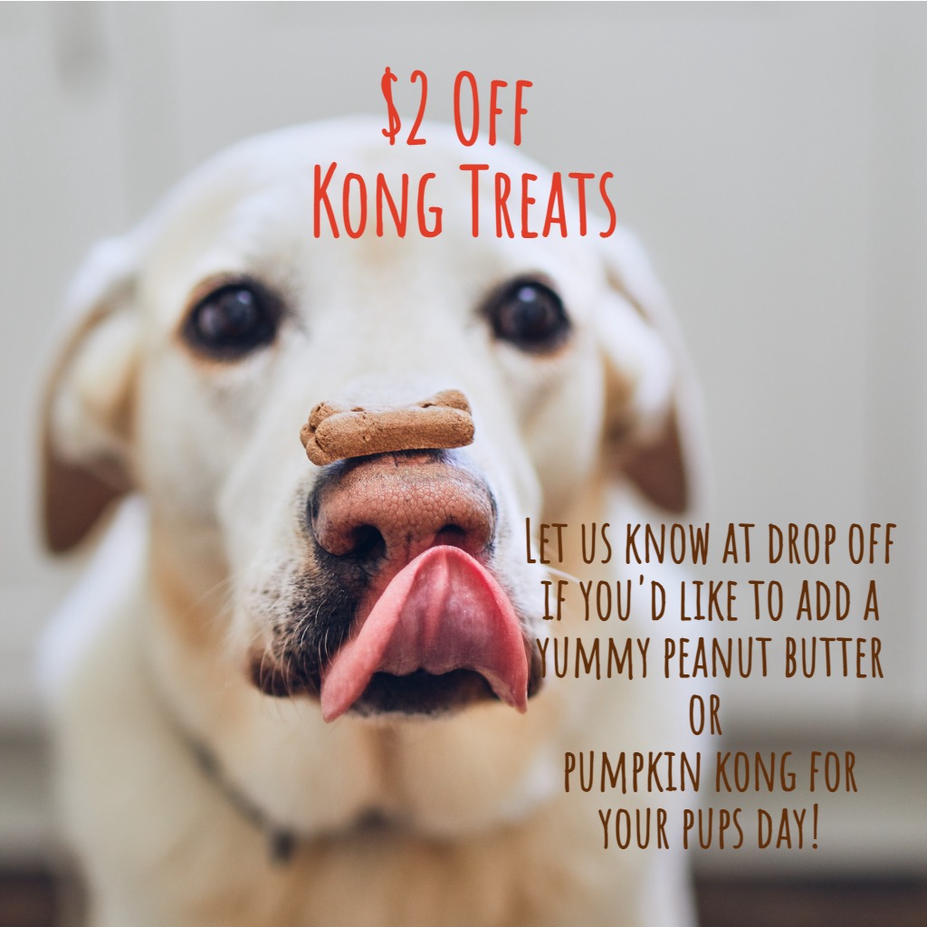 K9 Club Monthly Event Calendar - K9 Club