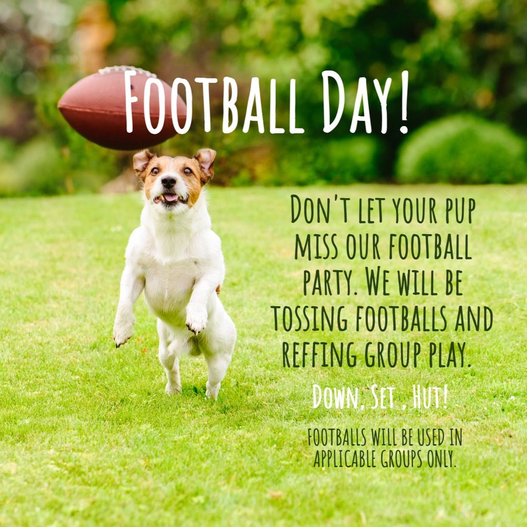 K9 Club Monthly Event Calendar - K9 Club